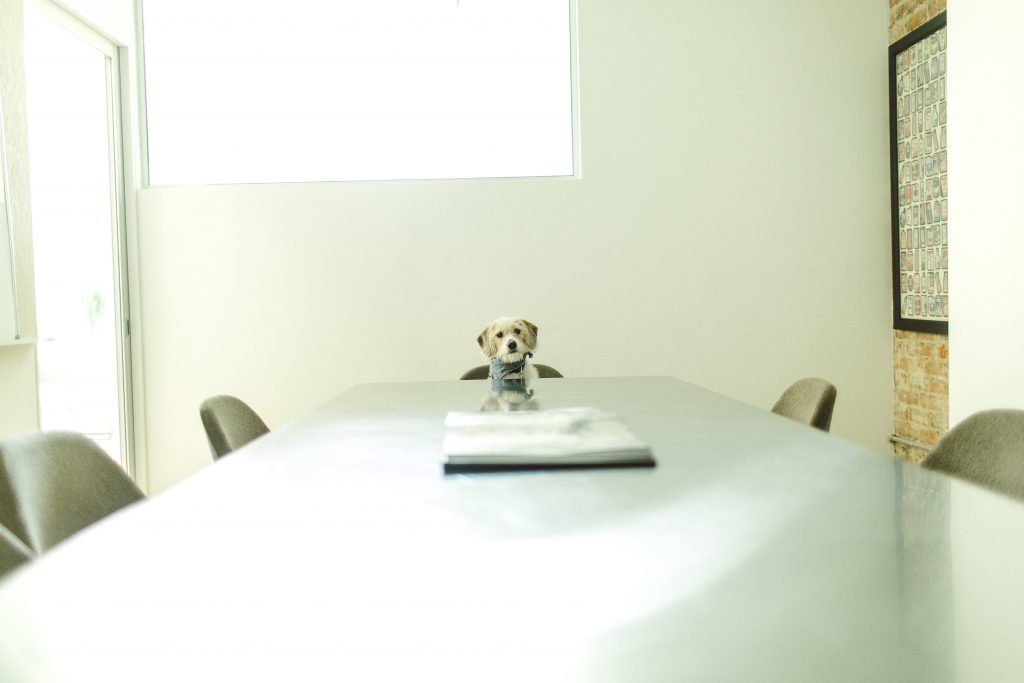 FIT COMPANY: THE FARMER'S DOG - Bonberi