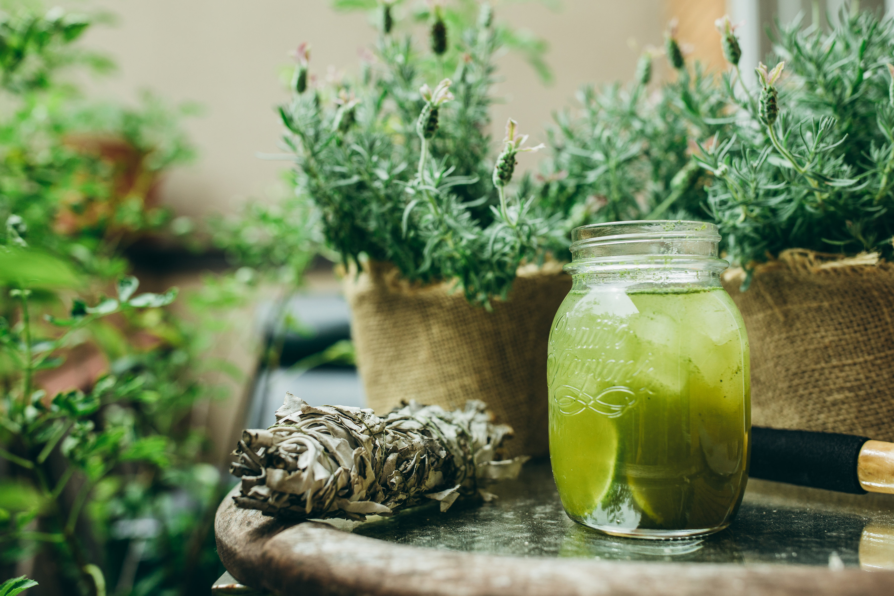 FERNANDA'S ALOE MORINGA ELIXIR - Bonberi